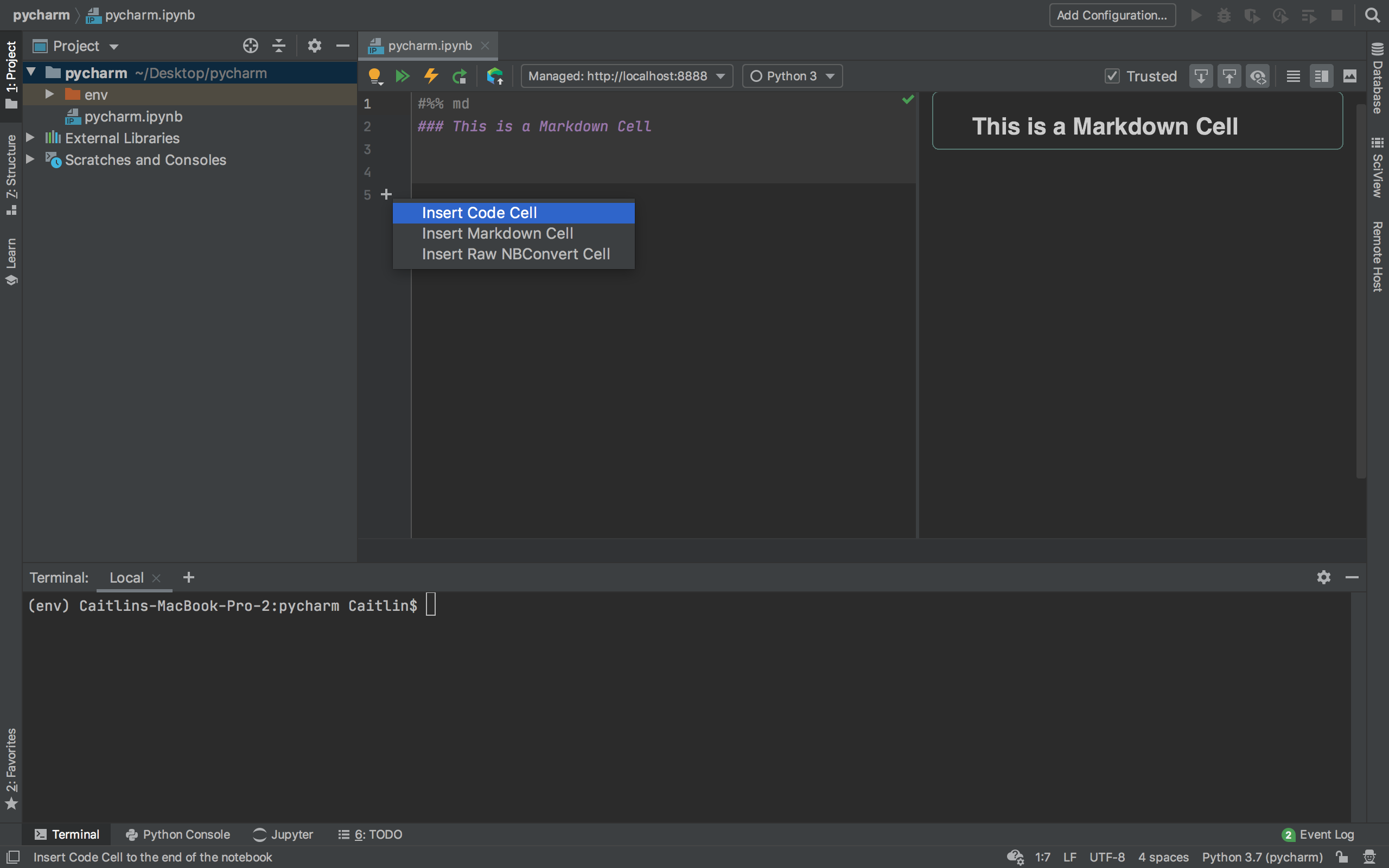 Jupyter Notebooks In PyCharm Caitlin Casar